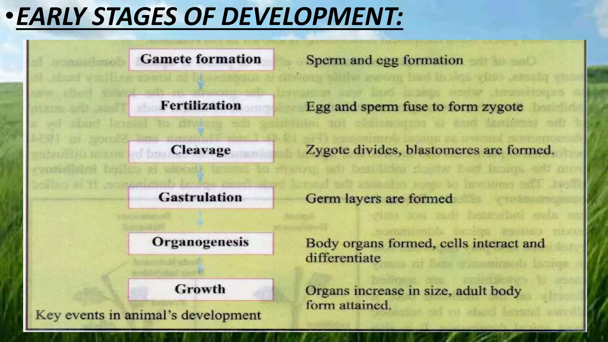 Growth and development in Plants and Animals | PPTX