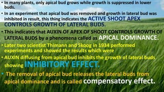 Growth and development in Plants and Animals | PPTX