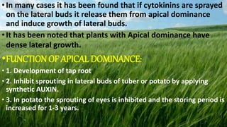 Growth and development in Plants and Animals | PPTX