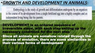 Growth and development in Plants and Animals | PPTX