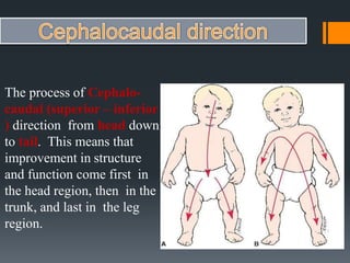 Growth and development | PPT
