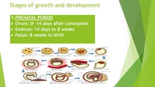 GROWTH AND DEVELOPMENT among Children.pptx