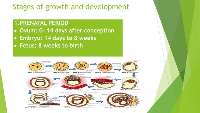 GROWTH AND DEVELOPMENT among Children.pptx
