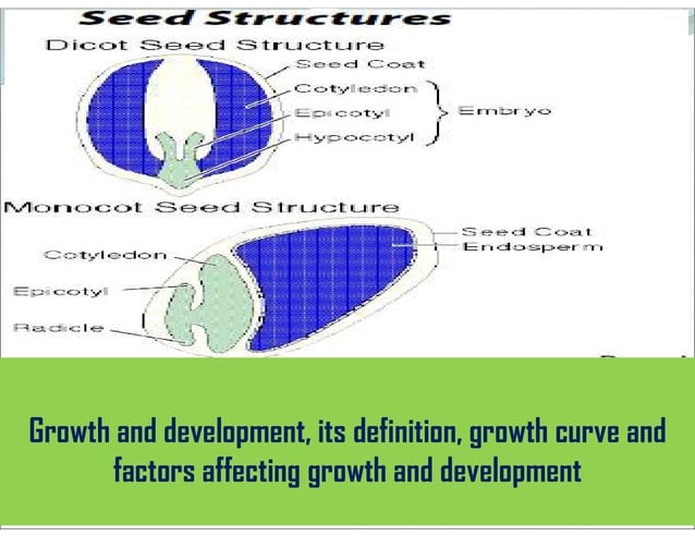 Growth and development its definition, growth curve and factors ...