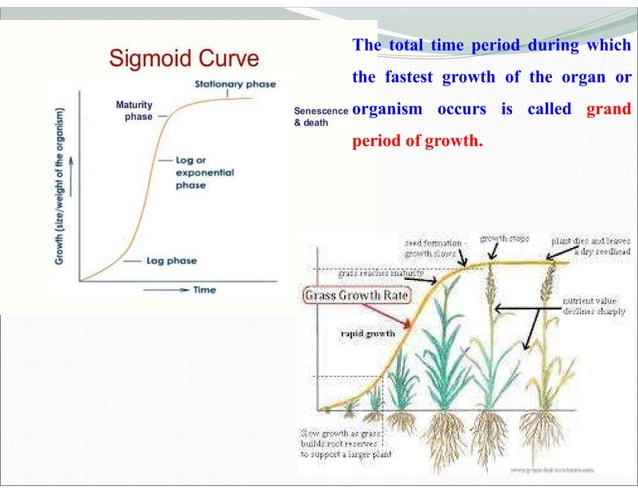 Growth and development its definition, growth curve and factors ...