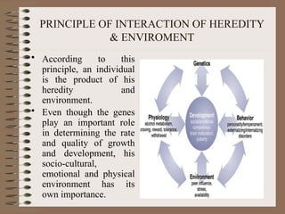 Growth and Development - FOUNDATIONS OF EDUCATION | PPTX