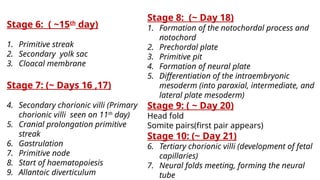 Growth and development of the Human embryo.pptx