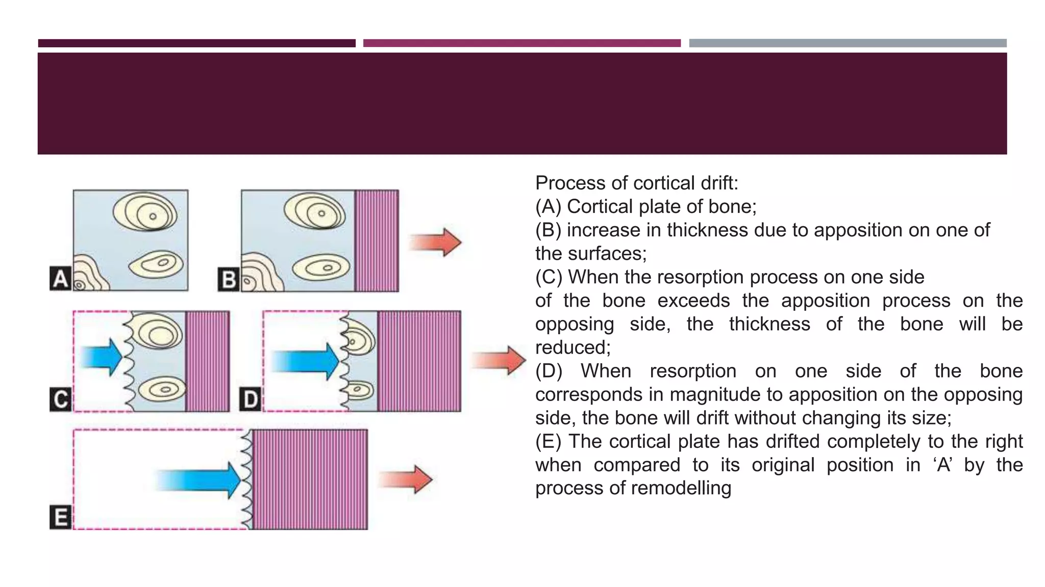 Growth and development and principles of craniofacial region | PPTX