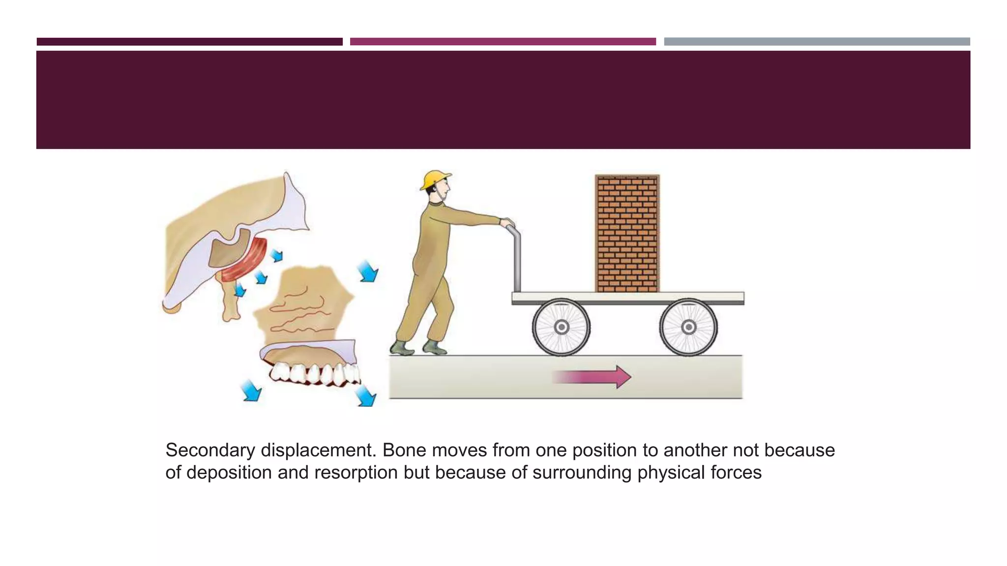 Growth and development and principles of craniofacial region | PPTX