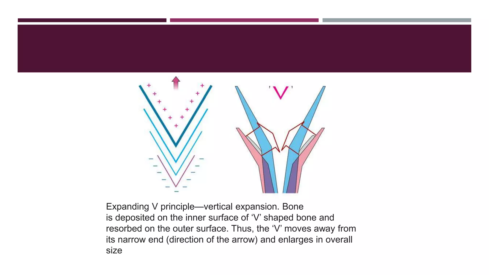 Growth and development and principles of craniofacial region | PPTX