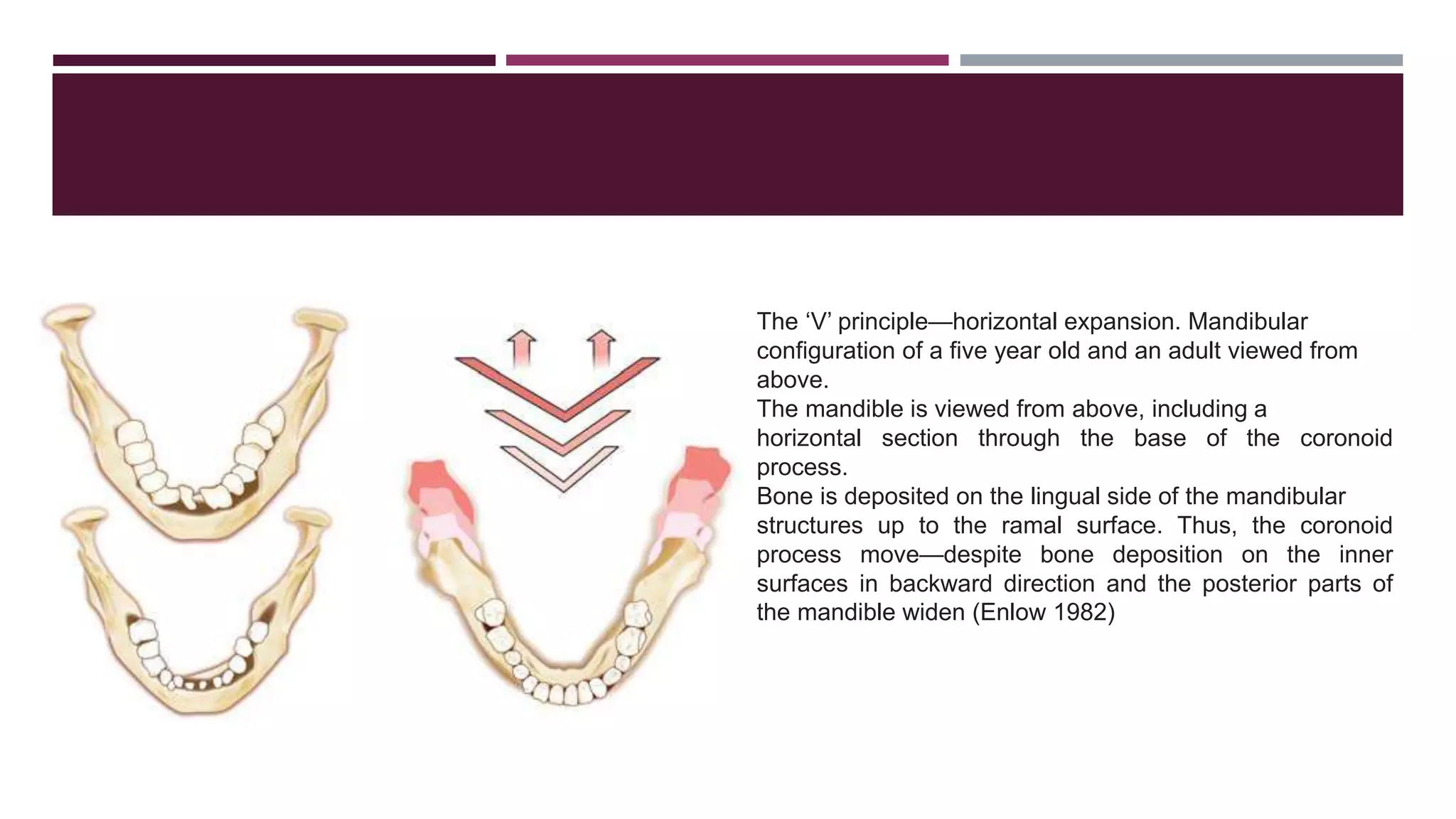 Growth and development and principles of craniofacial region | PPTX
