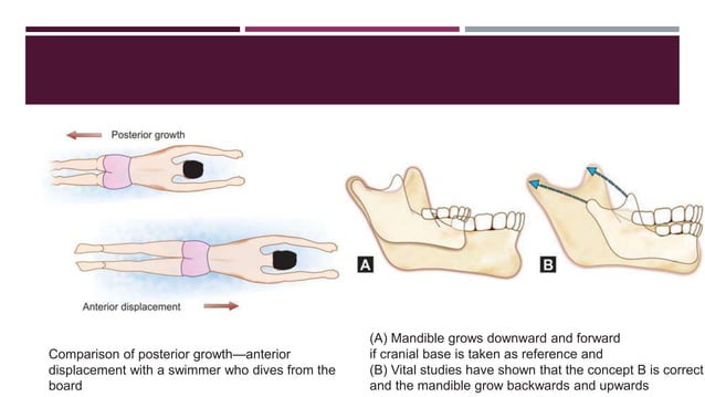 Growth and development and principles of craniofacial region | PPTX