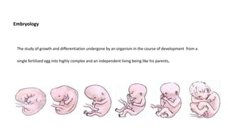 Growth and development in animals | PPTX