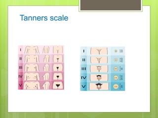 Growth and development of adolescence | PPTX | Menopause | Endocrine ...