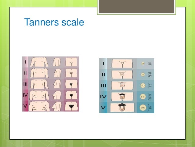 Growth and development of adolescence