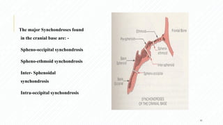 GROWTH AND DEVELOPMENT OF CRANIAL AND FACIAL STRUCTURES.pptx
