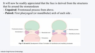 Growth_and_development_of_Face in human body | PPTX