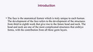 Growth_and_development_of_Face in human body | PPTX