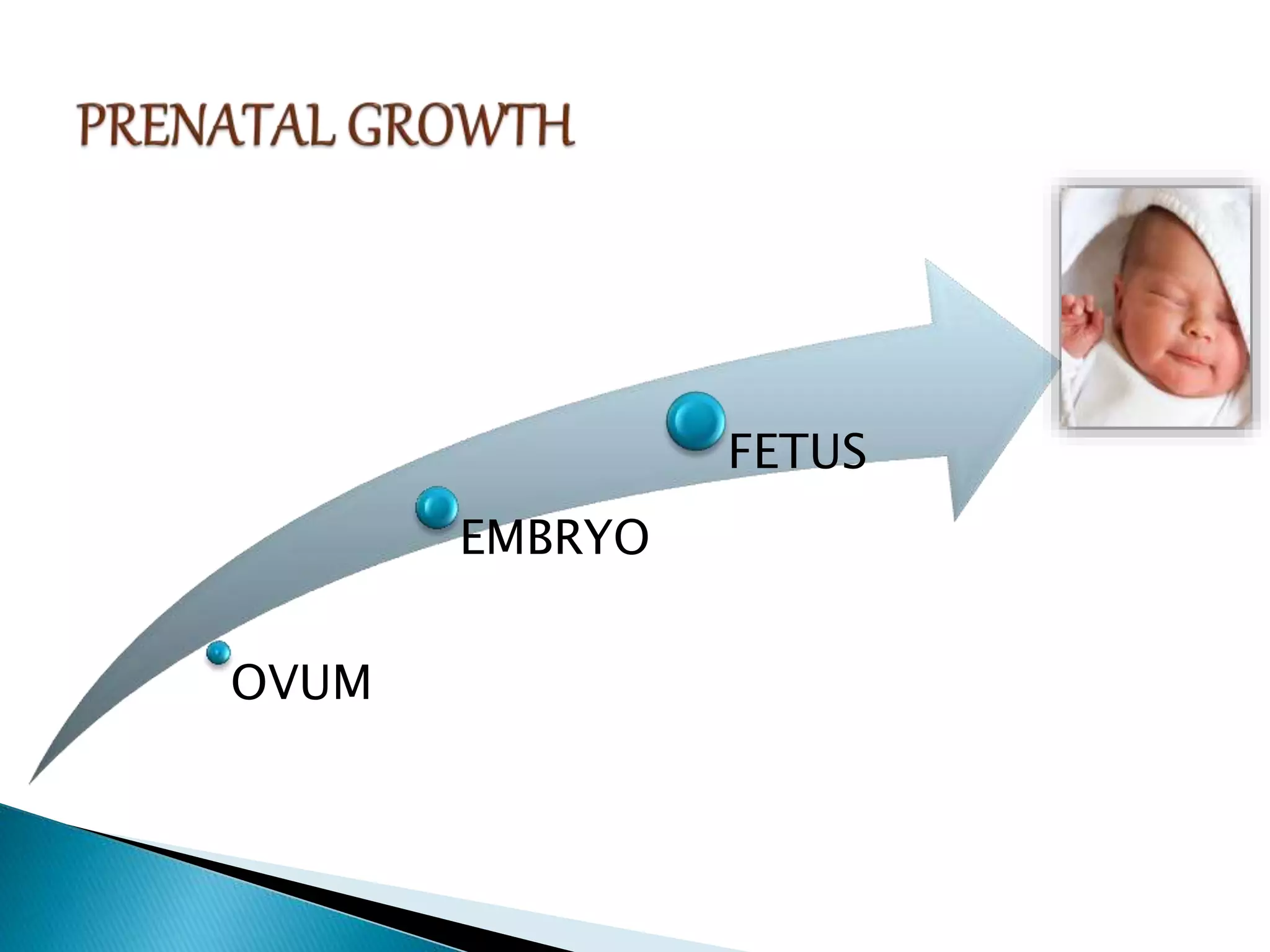Growth and development of face | PPTX