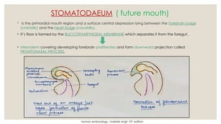 GROWTH AND DEVELOPMENT OF FACE in Dental | PPT