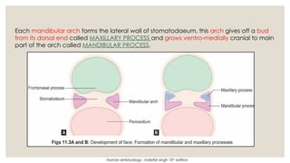 GROWTH AND DEVELOPMENT OF FACE in Dental | PPT