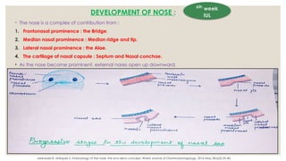GROWTH AND DEVELOPMENT OF FACE in Dental | PPT