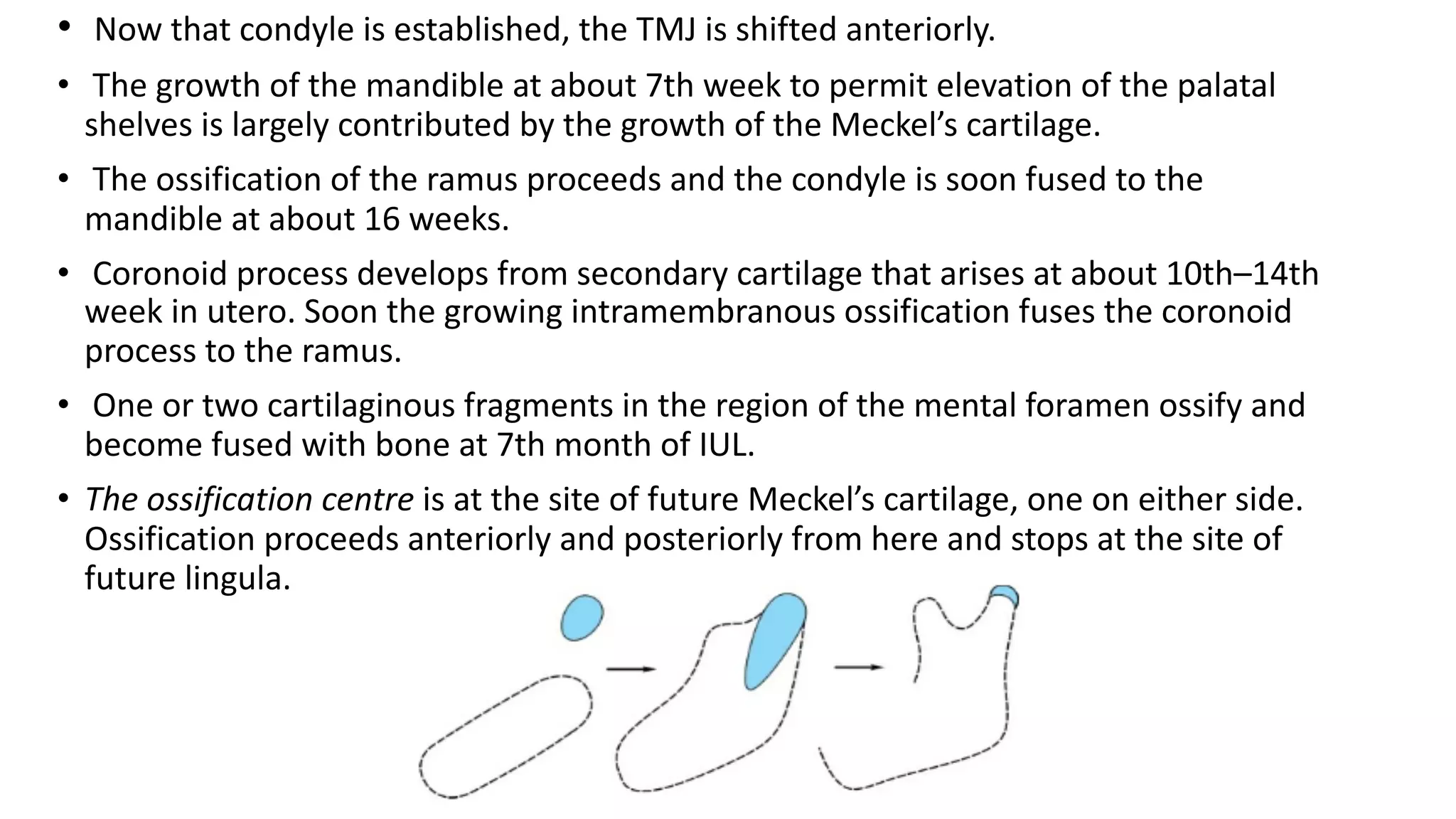 Growth and development of facial structures | PDF