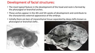 Growth and development of facial structures | PDF