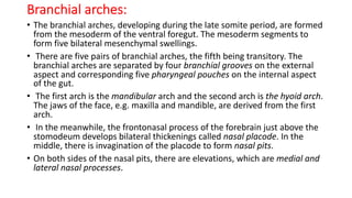 Growth and development of facial structures | PDF