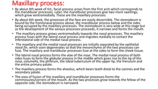 Growth and development of facial structures | PDF