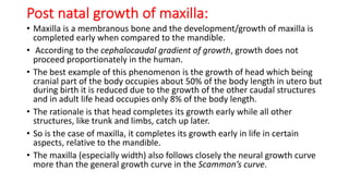 Growth and development of facial structures | PDF