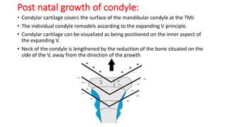 Growth and development of facial structures | PDF