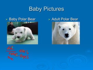 Growth and development of infants | PPT