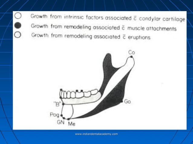 Growth and development of jaws 1 | PPT