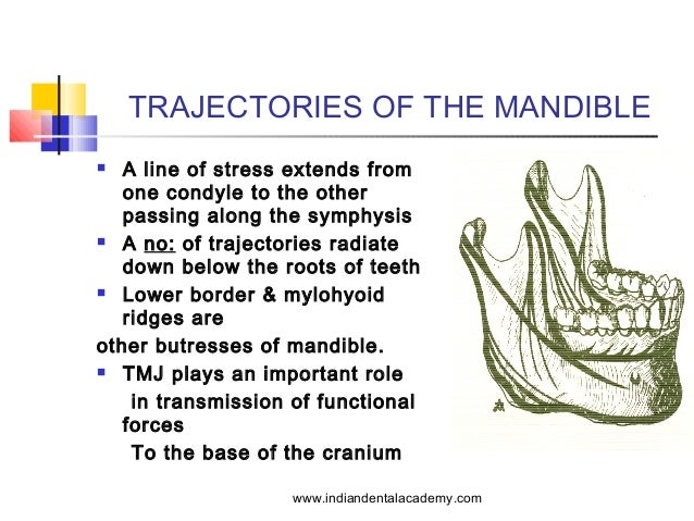 Growth and development of mandible