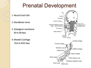 Growth and Development of mandible.pptx