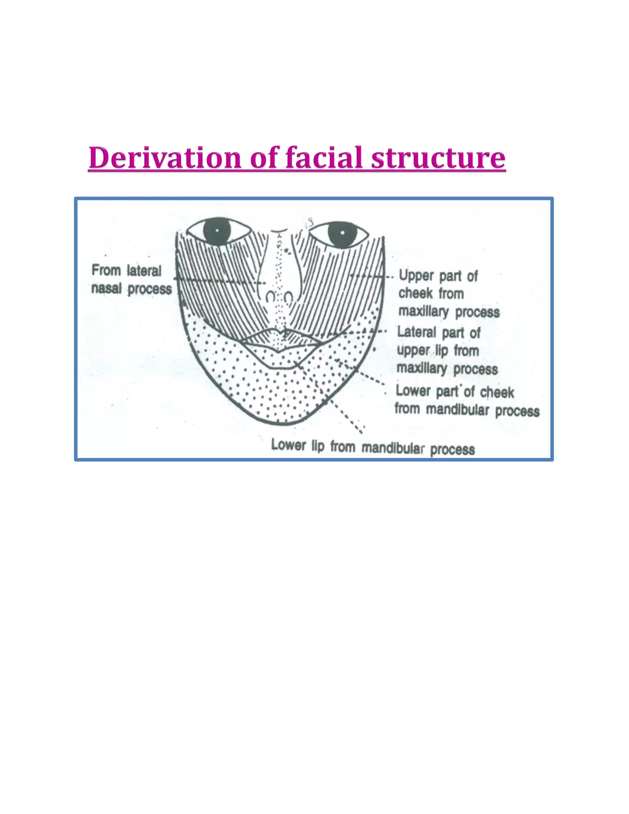 growth and development of maxilla | PDF