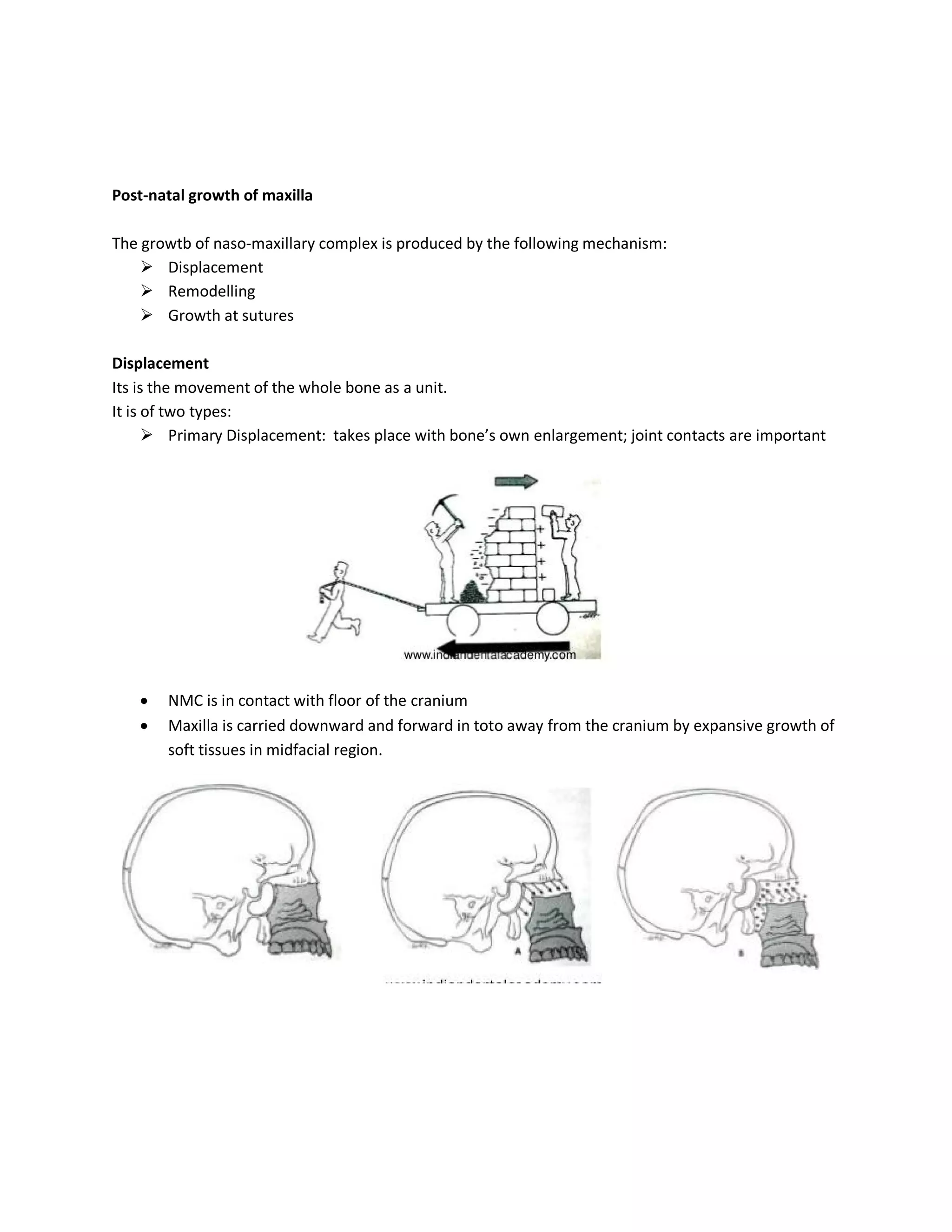 growth and development of maxilla | PDF