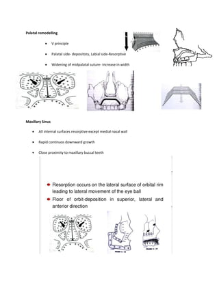 growth and development of maxilla | PDF