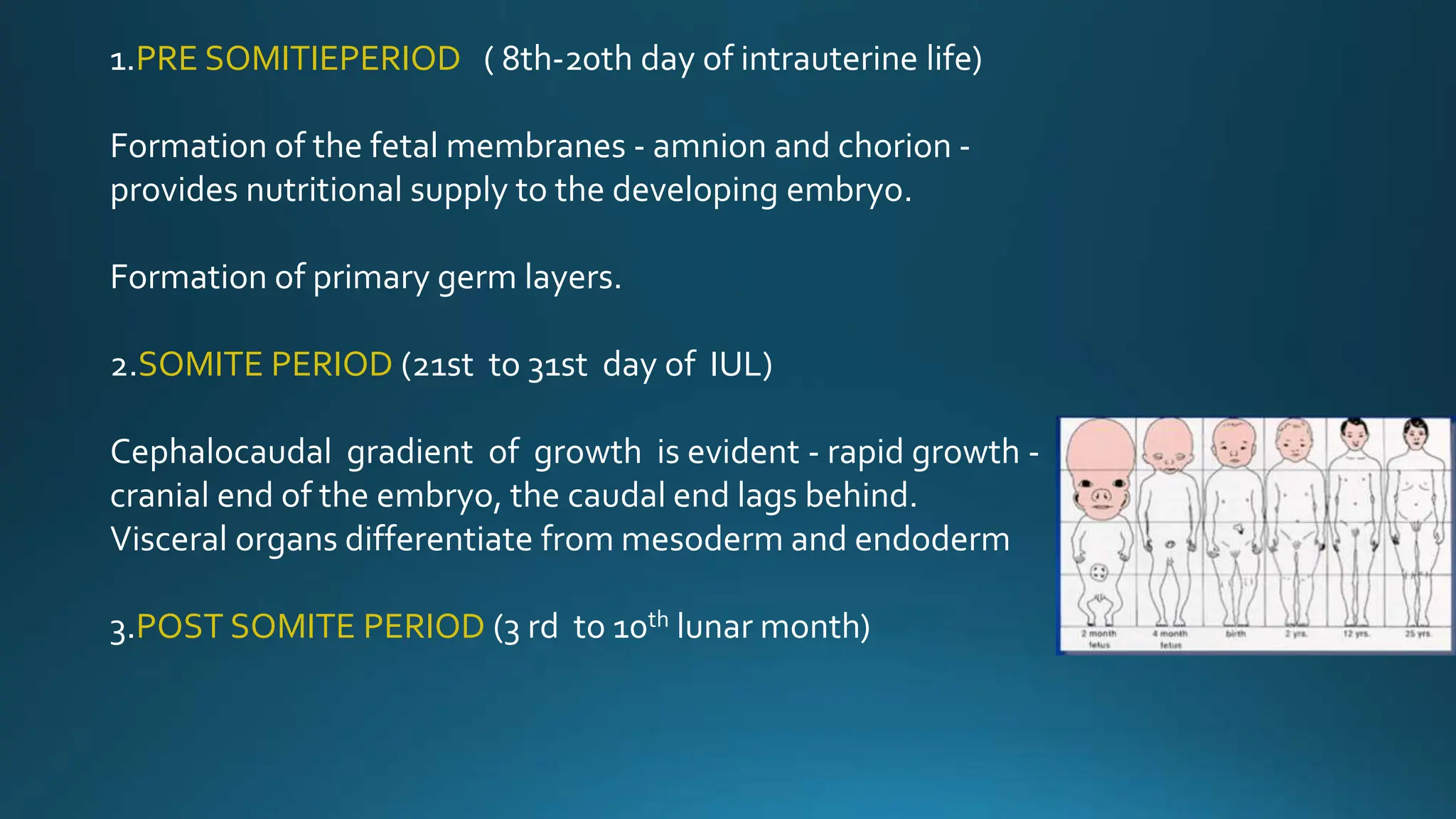GROWTH AND DEVELOPMENT OF MAXILLA In prosthodontics | PPTX