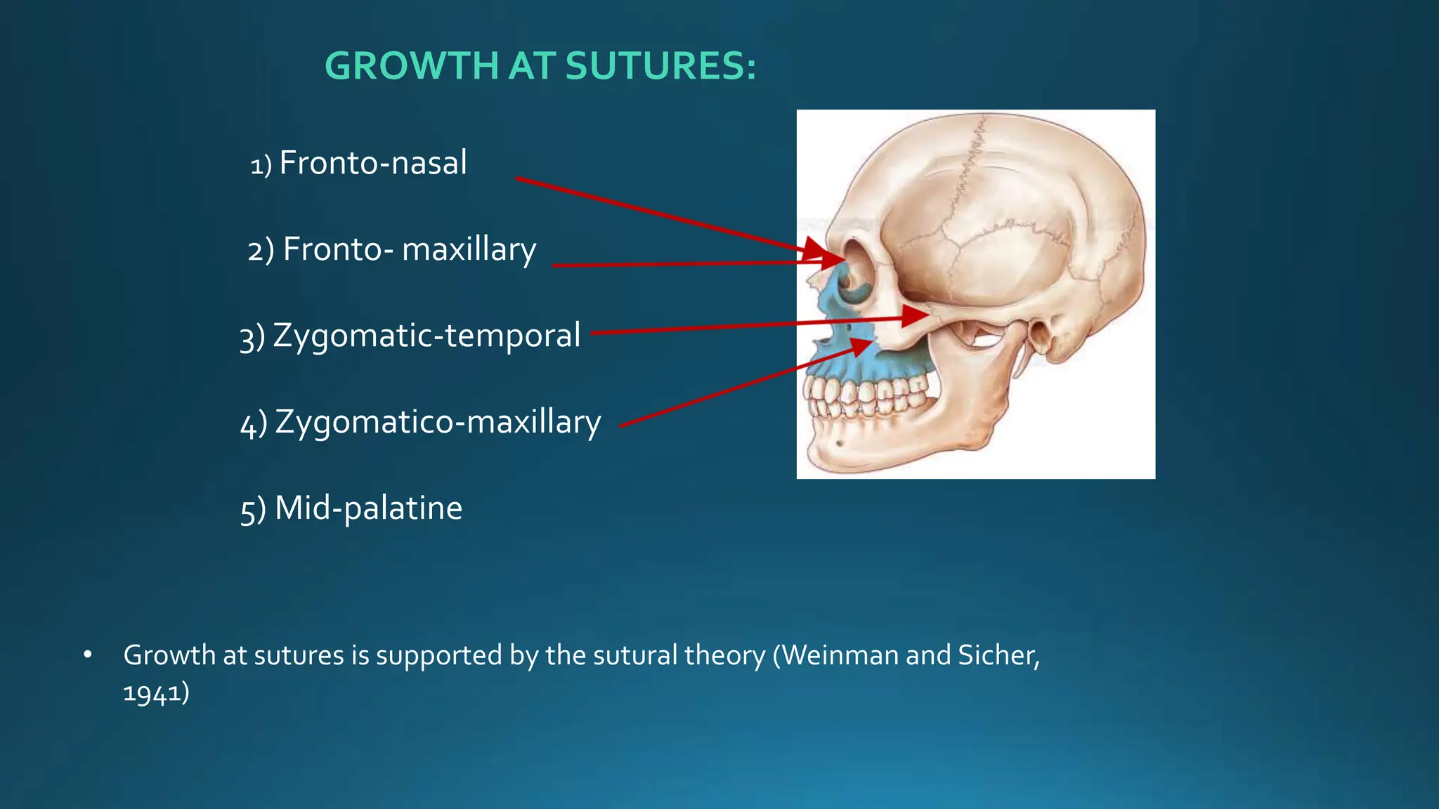 GROWTH AND DEVELOPMENT OF MAXILLA In prosthodontics | PPTX