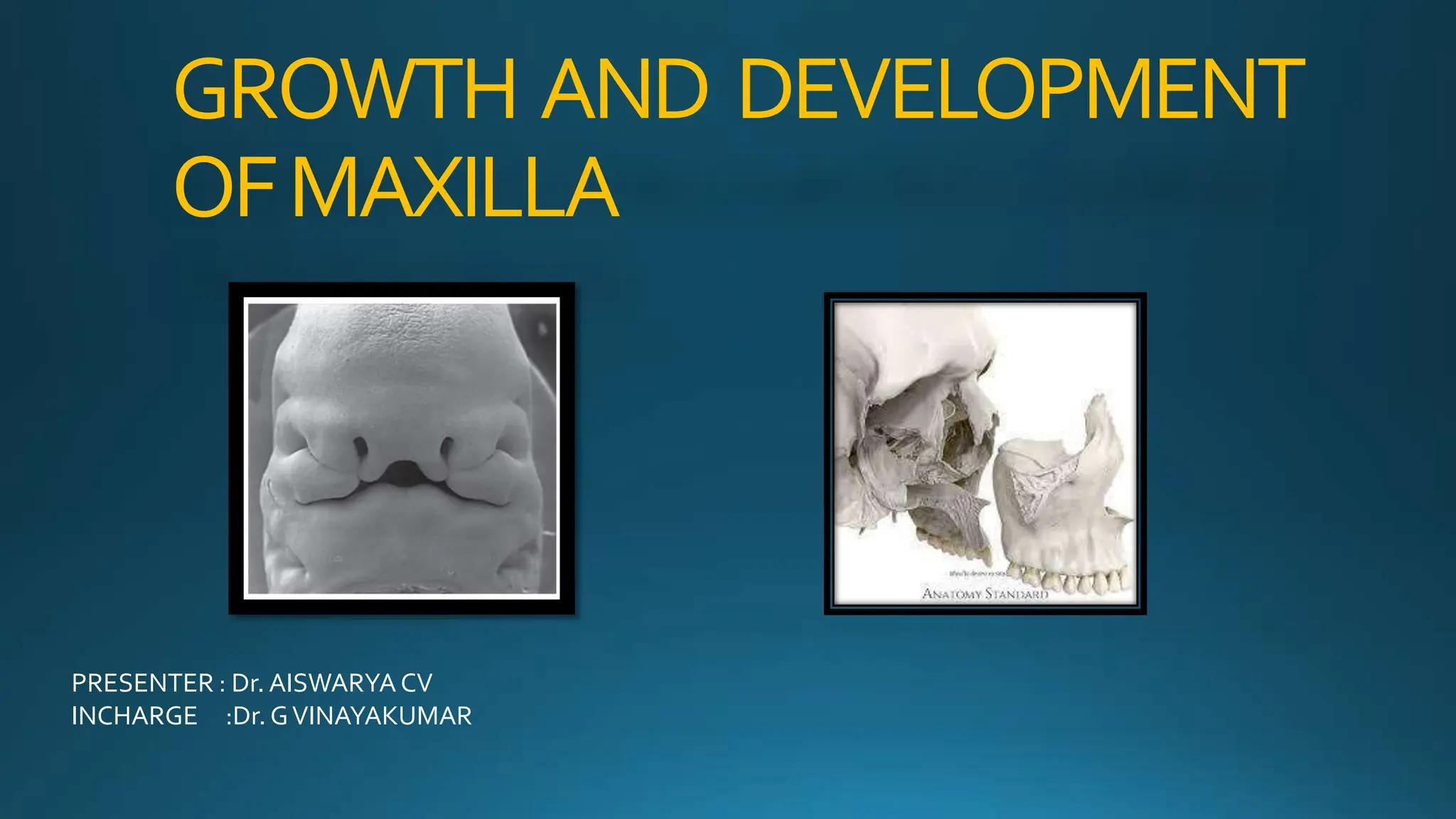 Growth and development of mandible GROWTH AND DEVELOPMENT OF MAXILLA.pptx