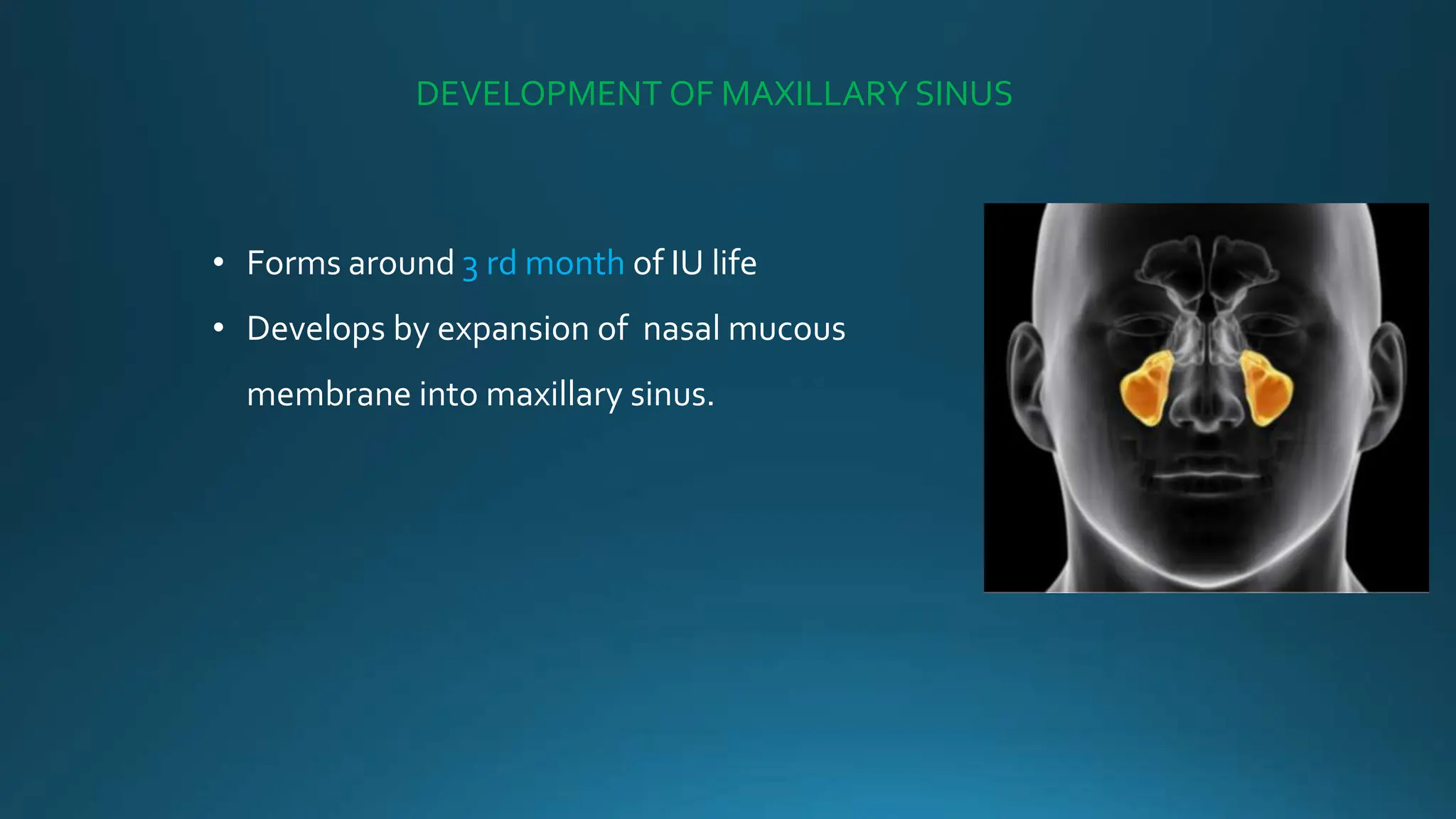 Growth and development of mandible GROWTH AND DEVELOPMENT OF MAXILLA.pptx