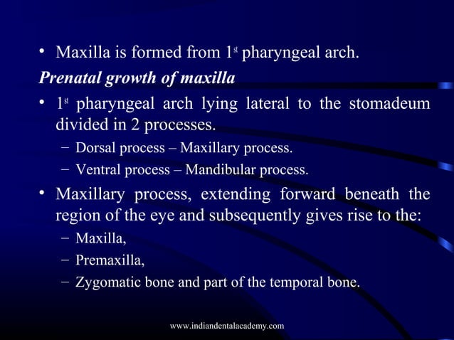 Growth and development of maxilla and maxillary /endodontic courses | PPT