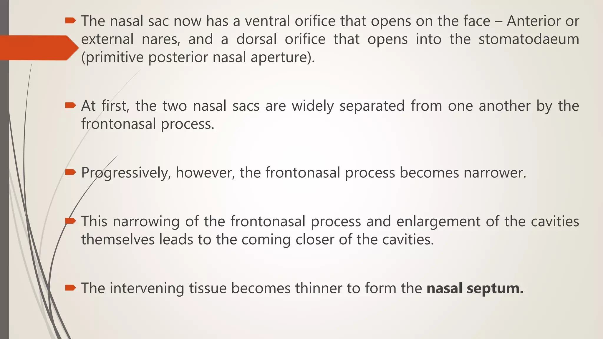 Growth and Development of maxilla and nasomaxillary complex | PPTX