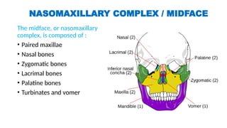 GROWTH AND DEVELOPMENT OF NASOMAXILLARY COMPLEX-2.pptx
