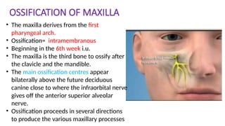 GROWTH AND DEVELOPMENT OF NASOMAXILLARY COMPLEX-2.pptx