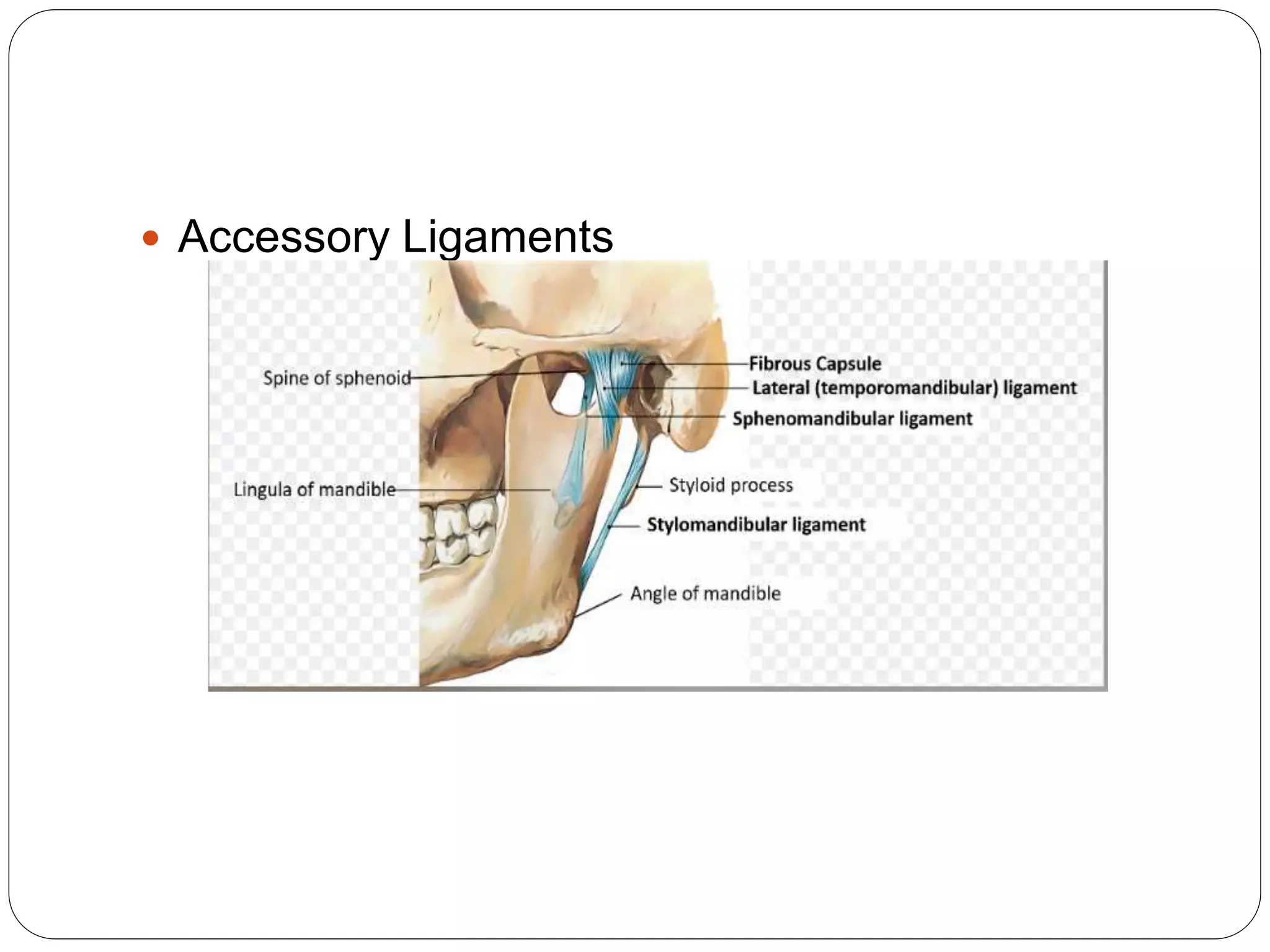 GROWTH AND DEVELOPMENT OF TEMPOROMANDIBULAR JOINT.pptx