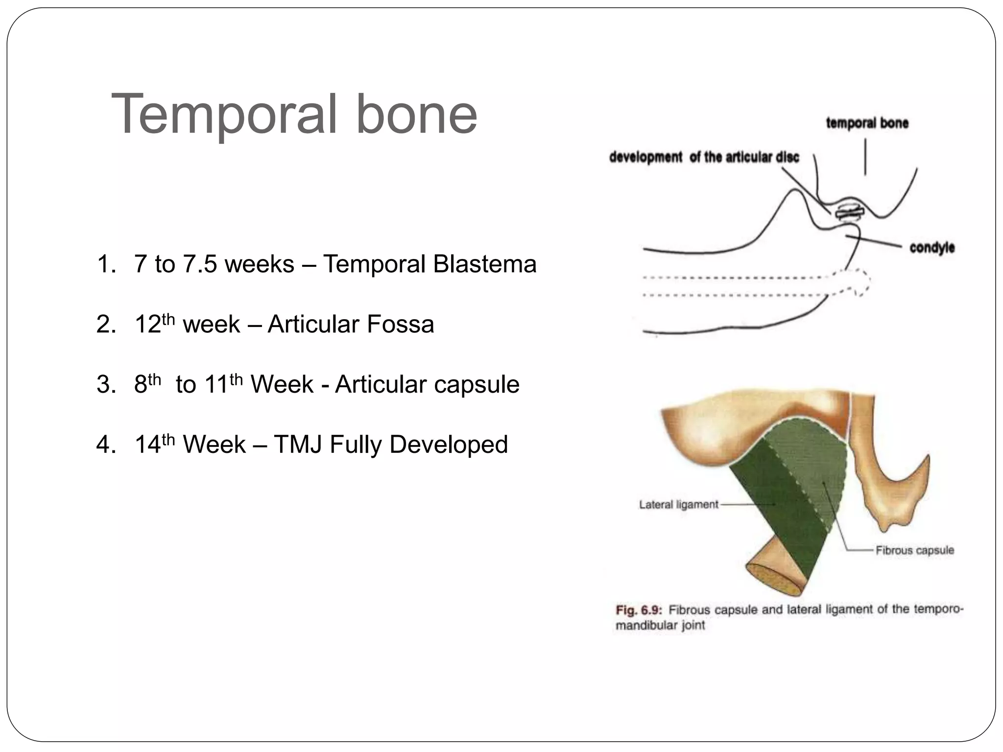GROWTH AND DEVELOPMENT OF TEMPOROMANDIBULAR JOINT.pptx