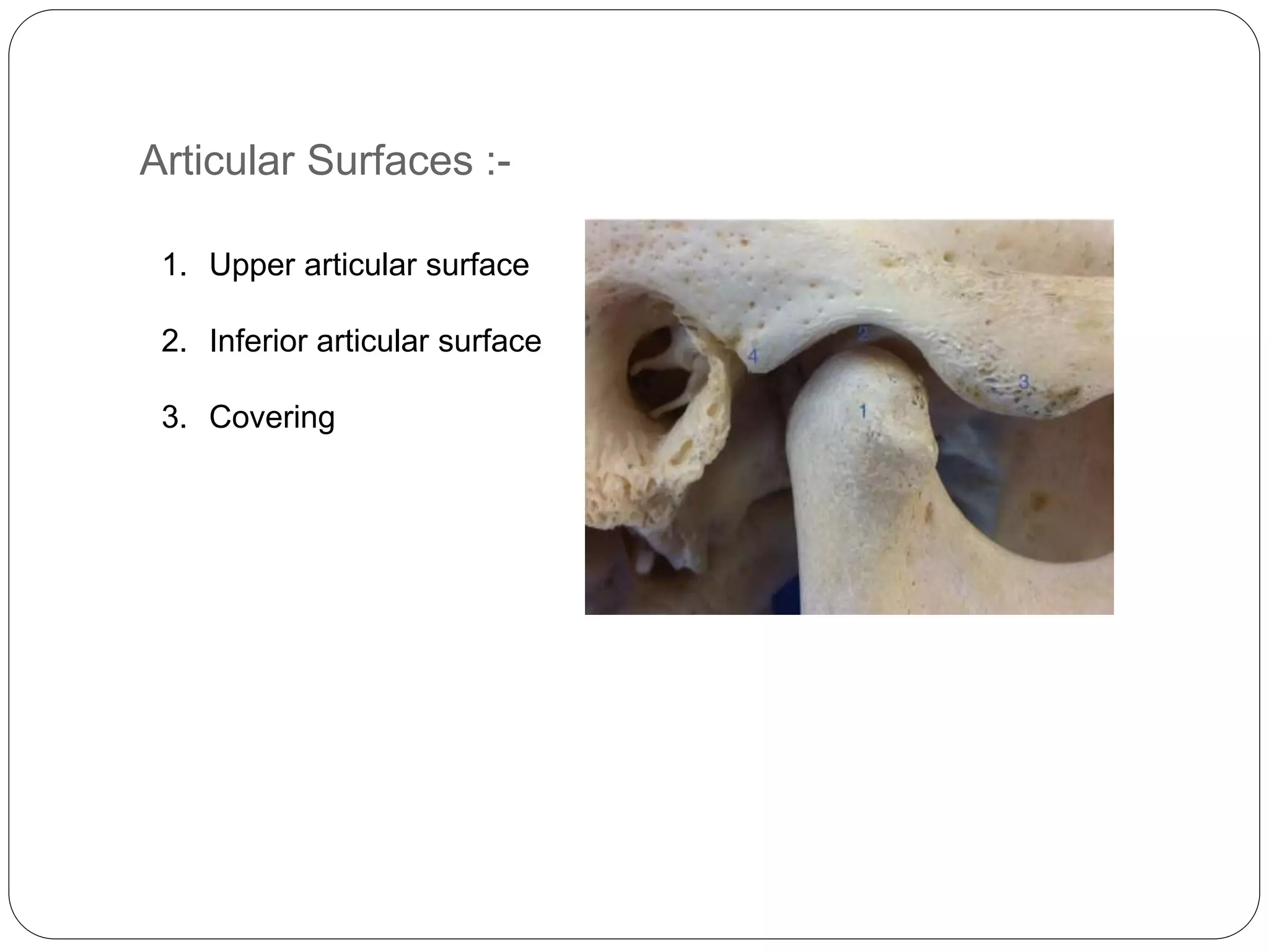 GROWTH AND DEVELOPMENT OF TEMPOROMANDIBULAR JOINT.pptx